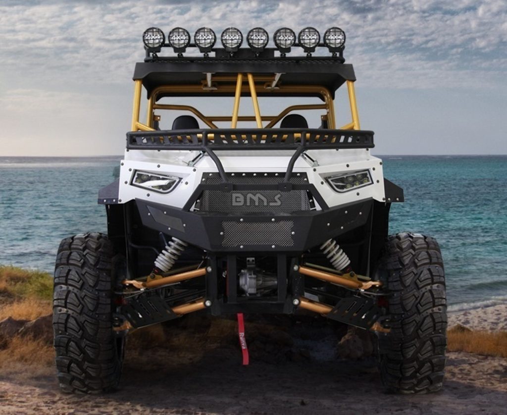 NEW BMS THE BEAST 1000 2S – 4X4 UTV, 81 HP, V-Twin 996cc EFI , Fully ...
